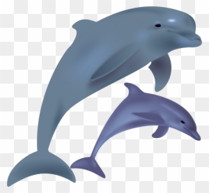 Teal Dolphin Clip Art - Dolphin Clip Art - Free Transparent PNG Clipart ...