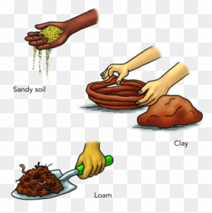 Soil In India - Soil Cartoon Png - Free Transparent PNG Clipart Images ...