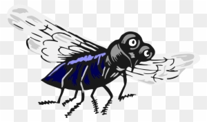 Fly 5 - Icon - Free Transparent PNG Clipart Images Download