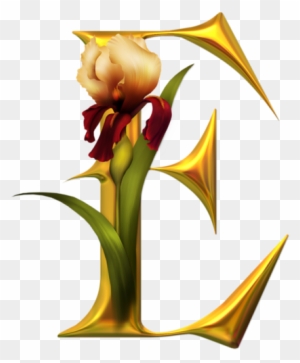 Alpha Iris - Flower Alpha Bets - Free Transparent PNG Clipart Images ...