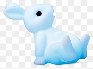 Watching This Reclining Rabbit Change Colours Will - Domestic Rabbit ...