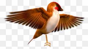 和正园的图片, Transparent PNG Clipart Images Free Download - ClipartMax