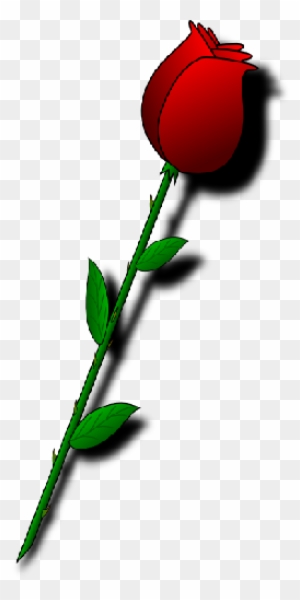 Cartoon Rose 20, - Yorkshire Rose - Free Transparent PNG Clipart Images ...