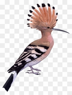 Cartoon Bird Without Feathers - Free Transparent PNG Clipart Images ...
