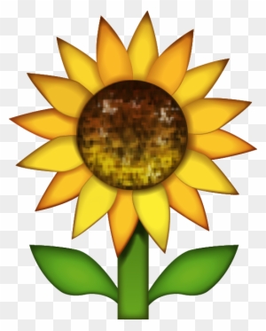 Sunflower Emoji Flower Sun Freeedit Iphone Cute - Sunflower Emoji Png ...