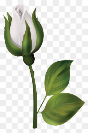 Abstract Pink Rose Vector Clip Art - Rose Bud Vector - Free Transparent ...