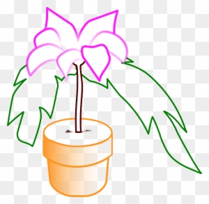 Potted Plant, Flower, Plant - Vektor Pot Bunga Ganja - Free Transparent ...