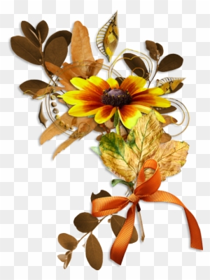 Flowers - Black Eyed Susan Transparent - Free Transparent PNG Clipart ...