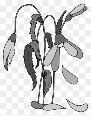 Dead, Flower, Flowers, Cartoon, Plant, Wilt, Wilted - Dead Plant Clip ...