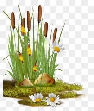 Reeds Clipart, Transparent PNG Clipart Images Free Download - ClipartMax