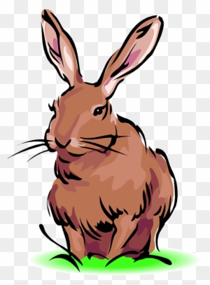 Hare Clipart - Clip Art - Free Transparent PNG Clipart Images Download