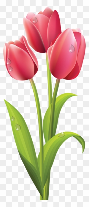 Web Design Clip Art Spring And Pink Tulips - Tulips Flower Png - Free ...