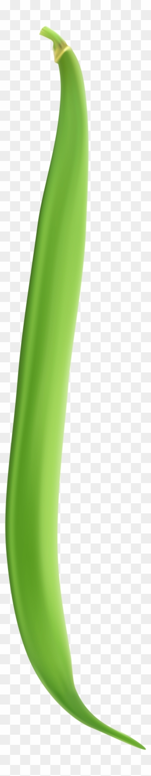 Three Curled Green Beans 101015 String Bean Png Clip - Green Bean Clip ...