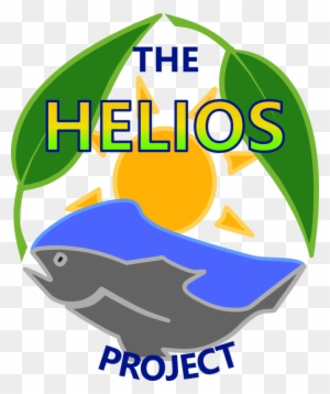 School Profiles - Helios Project - Full Size PNG Clipart Images Download