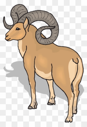 Derby County Ram Picture Clipart