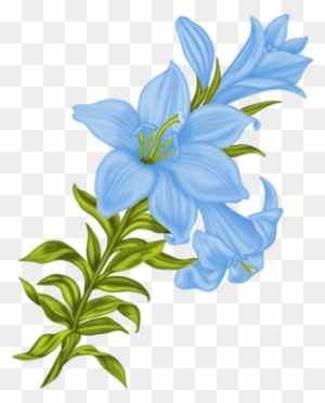 Gd Ss Flowers6 - Flower - Free Transparent PNG Clipart Images Download