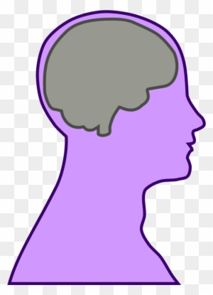 Cartoon Human Brain In Head
