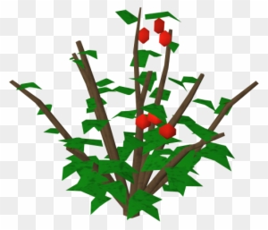 Red Berry - Berry Bush Transparent Background - Free Transparent PNG ...