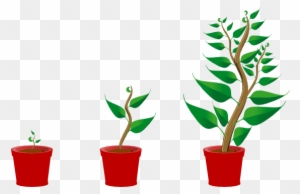 Growing Trees Clip Art At Clker - Getting To Know Plants - Free ...