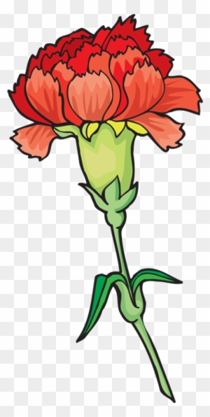 Red Carnation - Ohio State Flower Clipart - Free Transparent PNG ...