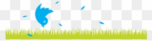 Twitter Has Become A Standard Platform For Businesses - Twitter Bird ...