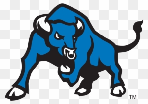 Buffalo University Logo