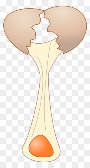 Broken Egg Clip Art, Transparent PNG Clipart Images Free Download ...