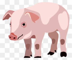 Domestic Pig Animal Label Clip Art - แบบ การ์ตูน น่า รัก ๆ - Free ...