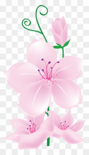 Light Pink Flowers Clipart - Pink Lily Flower Png - Free Transparent ...