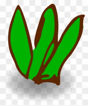 Bush Clipart, Transparent PNG Clipart Images Free Download - ClipartMax