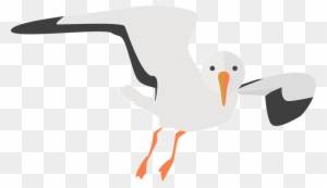 Seagull Clipart Png - Seagull With No Background - Free Transparent PNG ...