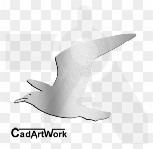 Seagull Dxf Clip Art - European Herring Gull - Free Transparent PNG ...