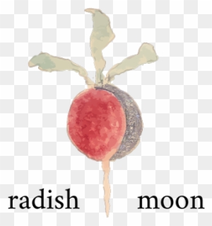 Radish Moon - Free Transparent PNG Clipart Images Download