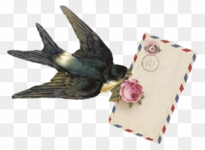 Vintage Illustrations - Old Mail - Free Transparent PNG Clipart Images ...