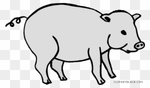 Grayscale Pig Animal Free Black White Clipart Images - Pig Clip Art ...