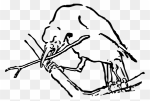 Free Clipart - 1001freedownloads - Com - Mean Bird Drawing - Free ...