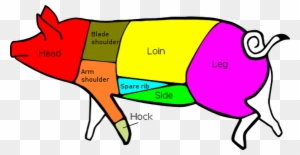 Pork Cutting Form - Primal Cuts Of Pork - Free Transparent PNG Clipart ...