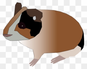 Guinea Pig Clipart, Transparent PNG Clipart Images Free Download ...