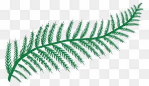Free Clipart Of A Fern - Clip Art Fern - Free Transparent PNG Clipart ...