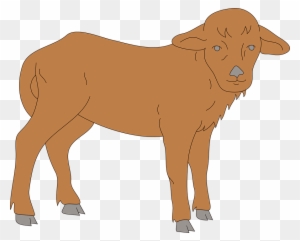 Brown, Standing, Animal, Furry, Hooves, Calf - Calv Clipart - Free ...