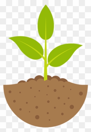 Growing Plant Clipart, Transparent PNG Clipart Images Free Download ...