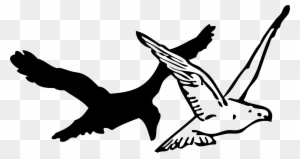 Pigeon And Crow - Drawing - Free Transparent PNG Clipart Images Download