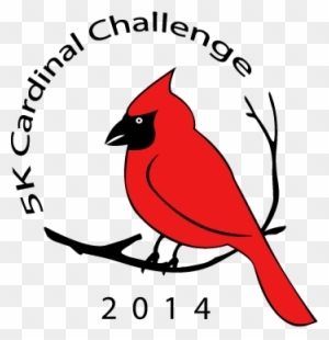 Cob 5k Fun Run - Sponsor - Free Transparent PNG Clipart Images Download