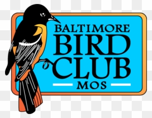 The Baltimore Bird Club - Logo Bird Club - Free Transparent PNG Clipart ...