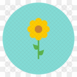 Sunflower Icon - Flower - Free Transparent PNG Clipart Images Download