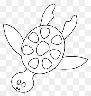 Colorful Animal Sea Turtle Black White Line Art Scalable - Clip Art ...