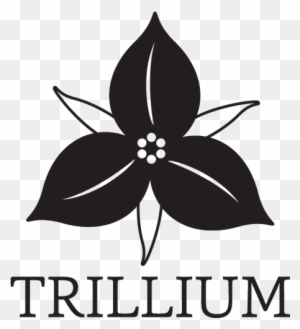 Trillium Flower Clipart - Illustrations Of A Trillium - Free ...