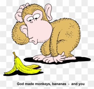 Silly Monkey - Silly Monkey - Free Transparent PNG Clipart Images Download