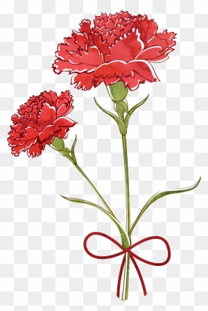 Red Carnation - Ohio State Flower Clipart - Free Transparent PNG ...