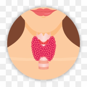 Thyroid Icon - Thyroid Clipart Black And White - Free Transparent PNG ...
